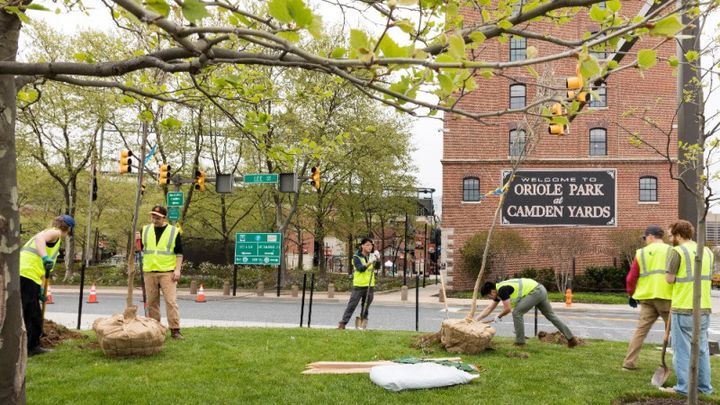 Fundraiser by Mark Conway : Baltimore's Arbor Day