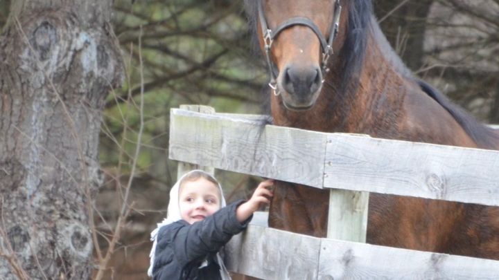 Fundraiser by John Hufferd : Support Rebbecca's Fight Against Brain Tumor