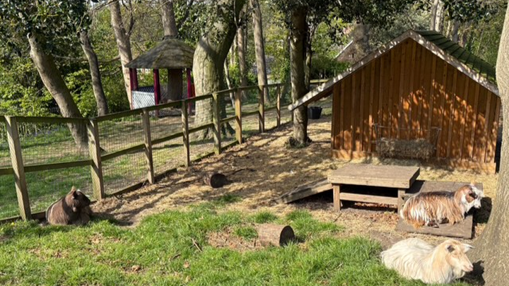 Fundraiser by Bracken Edge Primary School : Help us fund our school ...