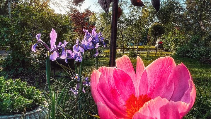 Fundraiser by Roberto Palmon : Need money to pay for operation.!