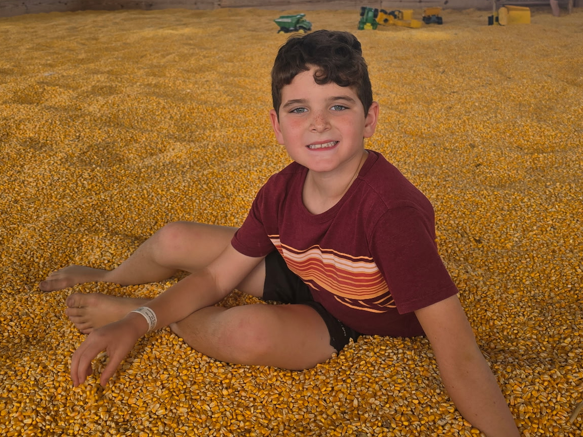 Fundraiser for kyle martin by Cheyenne Lowe : Support Phoenix's Fight ...