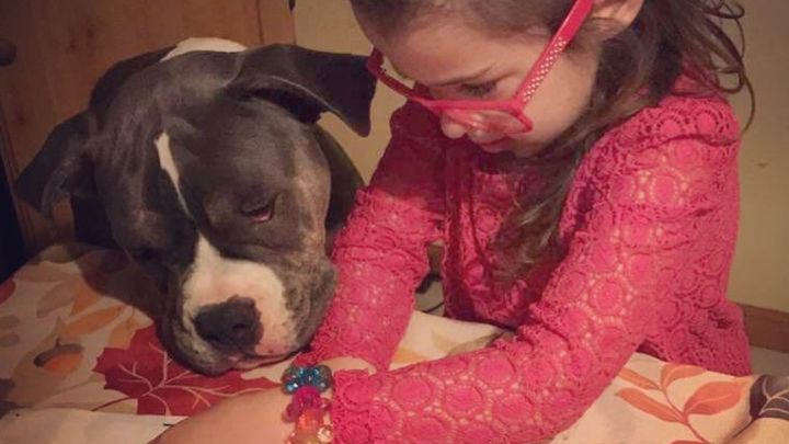 Fundraiser by Sarah Pulcini : Wentz' s Entropion Surgery