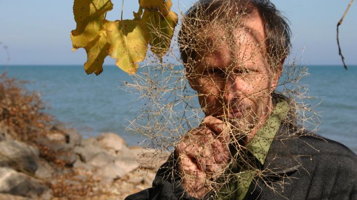 Fundraiser for Christopher Holbrook by Susanne Nestory : Brilliant ...