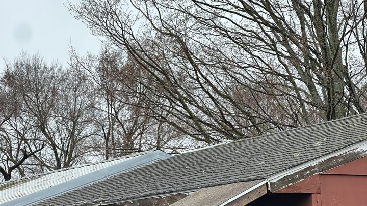 Fundraiser by Sarah Dobbrastine : Help Sarah Repair Her Kennel Barn and ...