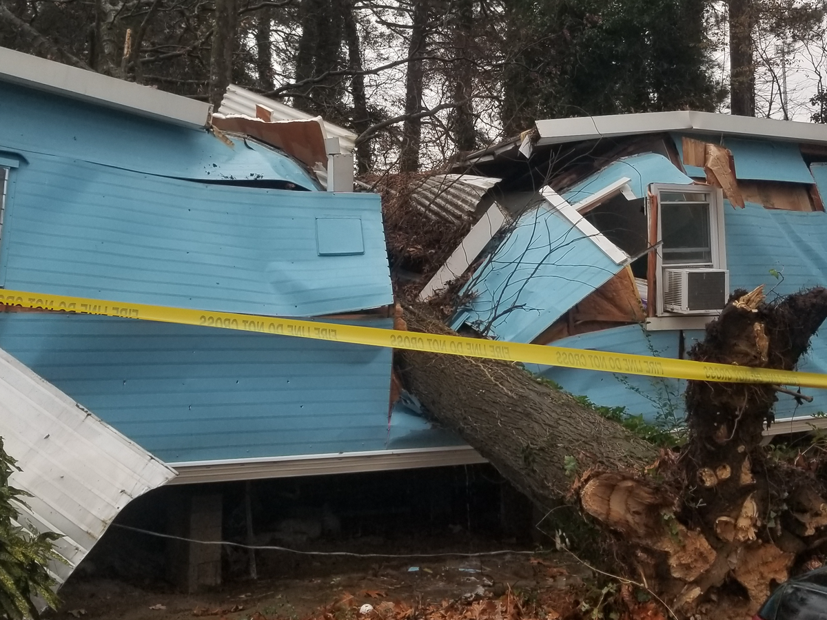Fundraiser by Kim Smith : Help the Vatis family after tree crashes ...