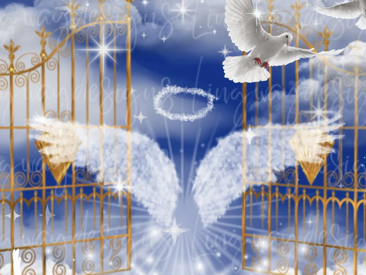 Fundraiser for Ron Mosley by Sam Hutchison : Support Teresa Kay Mosley ...