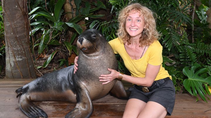 Fundraiser by Melissa Billington : Give Melissa wings for her ...