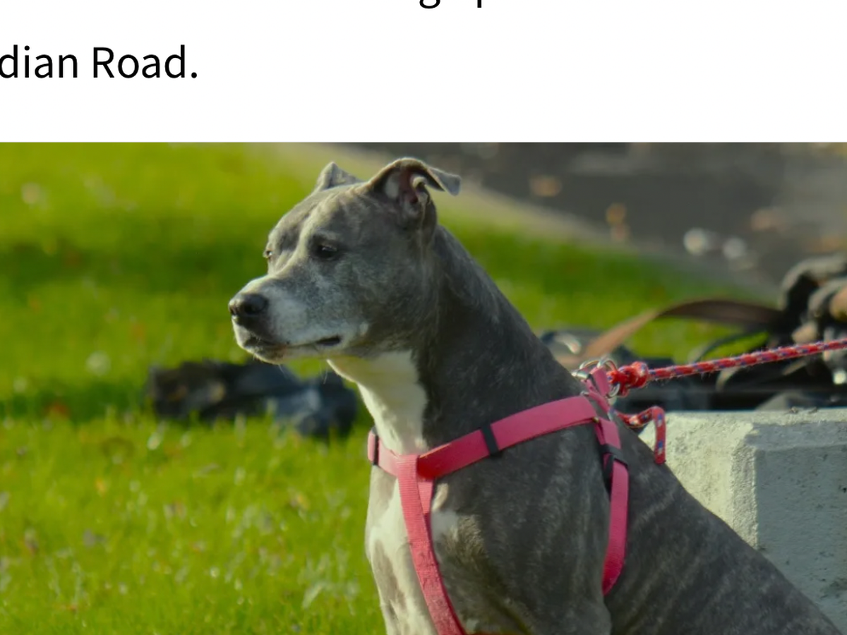 Fundraiser by Keith McMillen : Support Kevin & Shady After Apartment Explosion