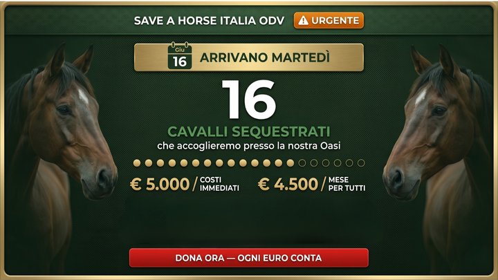Fundraiser by Claudio Coratella : Emergenza: Aiutaci a salvare 16 ...