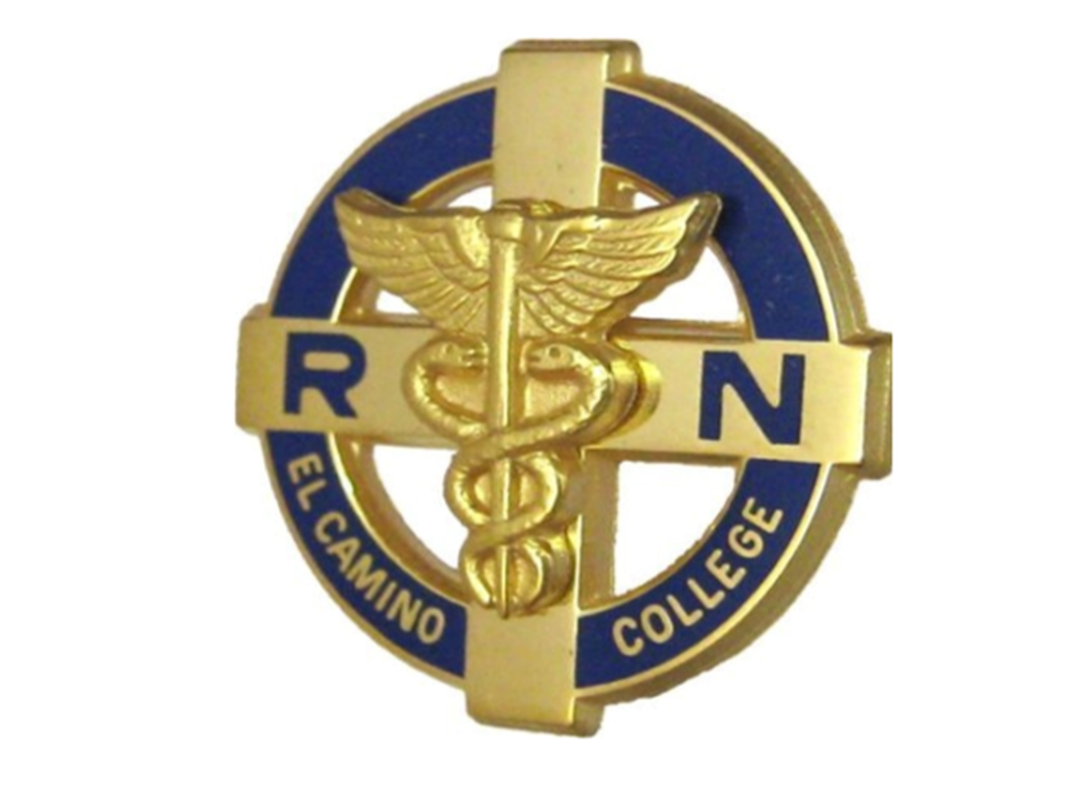 Fundraiser by Jennie Dang : Support El Camino Nursing Students' Pinning ...