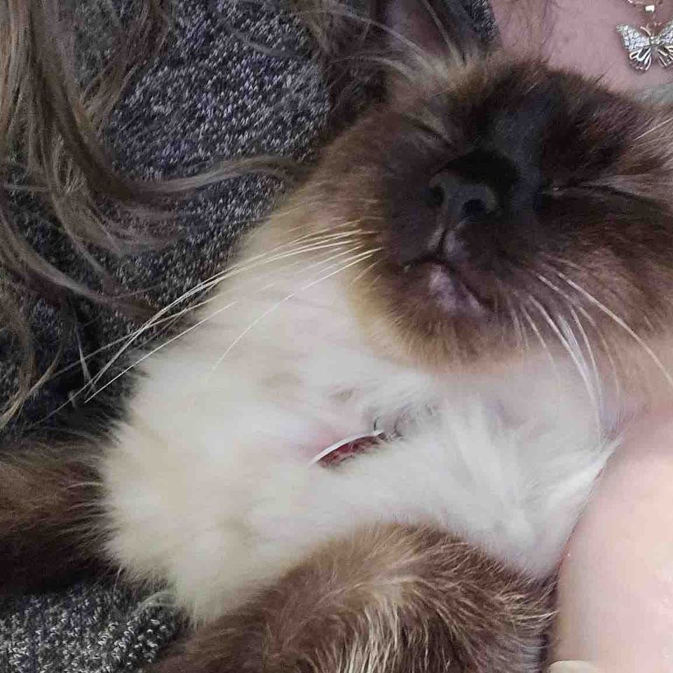 Fundraiser for Emma Monteith by Michelle Dubauskas : Wingham Flood ...