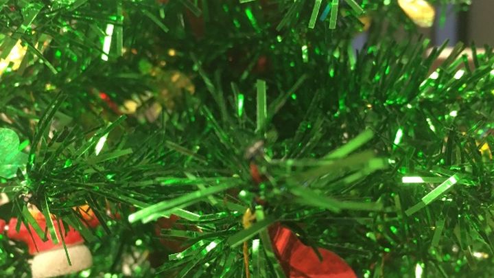 Fundraiser for Ryan Colley by Seth Ickes : Help Ryan & Brittany Colley