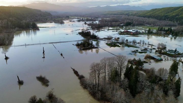 Fundraiser by Amy Haggerty : Help Ricky, Sue, Bailey & Griz After Flooding