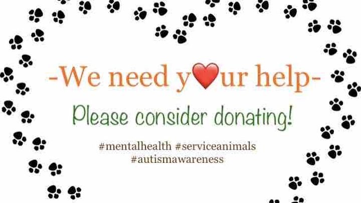 Fundraiser by Hannah Sholar : Service Dog Coming Soon!!!