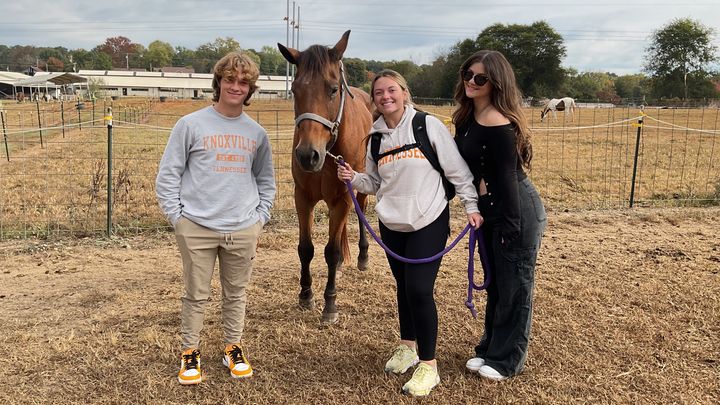 Fundraiser by Mackenzie Riordan : Gallop For Good - Horse Haven of ...