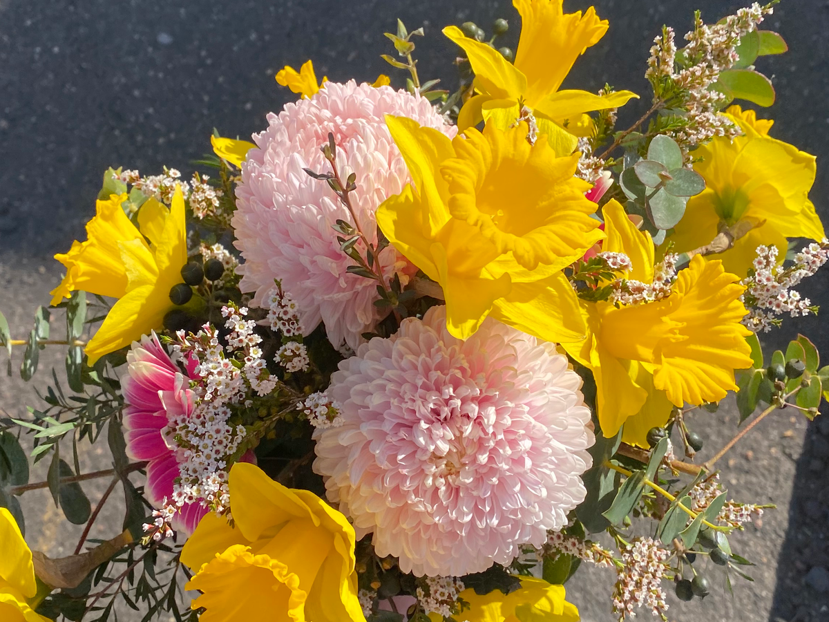 Fundraiser by Siarah McDermid : emergency