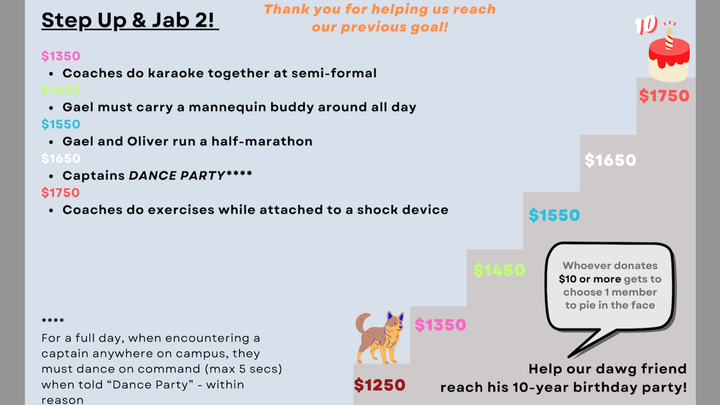 Fundraiser by Noreen Daly : Illini Boxing Club Fundraiser 2023-24