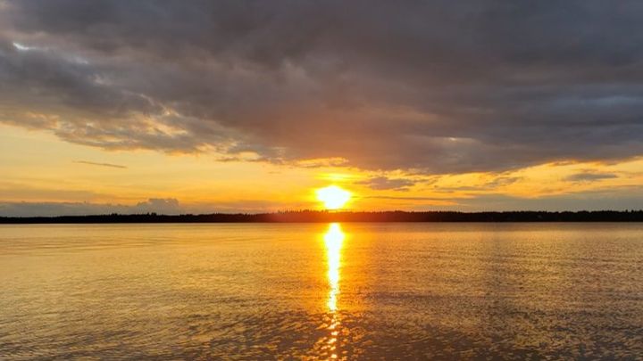 Fundraiser by Cassandra Healey : Let's Help Lori Perkins