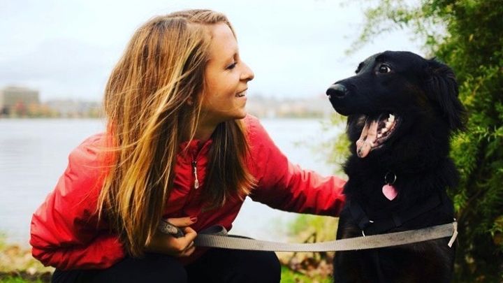 Fundraiser by Lisa Zeiger : Huston’s Surgery