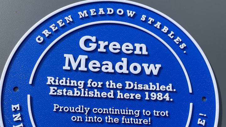 Fundraiser by Rebecca Hadfield : Support Green Meadow Riding for the ...