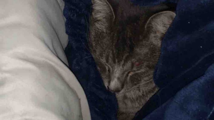 Fundraiser by Lyndah Salamanca : Please help leo get the medical ...