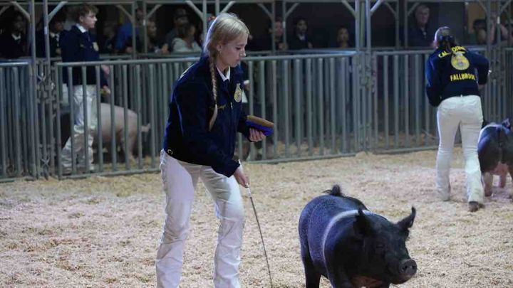 Fundraiser for Shana Lothringer by Madison Lothringer : Support Madison ...