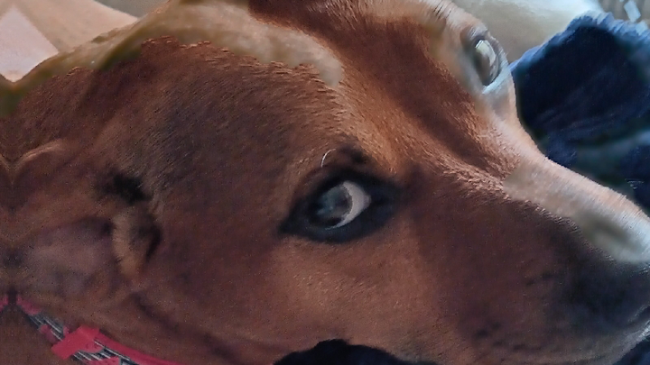 Fundraiser by Robert Baize : Ellie is 7 and fighting cancer she needs ...