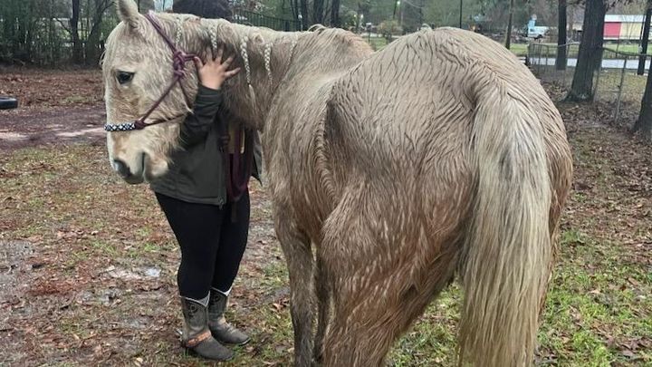 Fundraiser for Ashley Bullock by Brielle Collins : Help Tuff get his ...