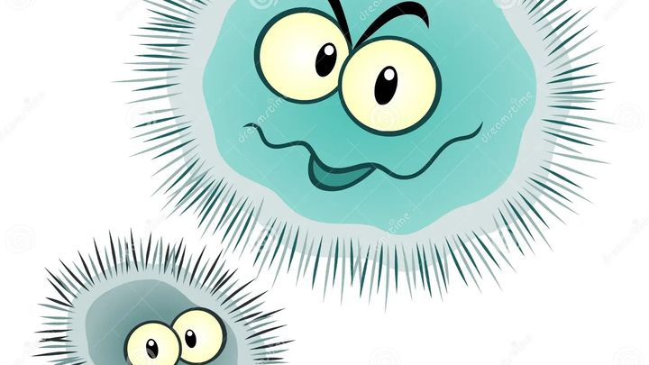 Fundraiser by Amanda Mattingly-Magee : Mold remediation for the Wyllie ...