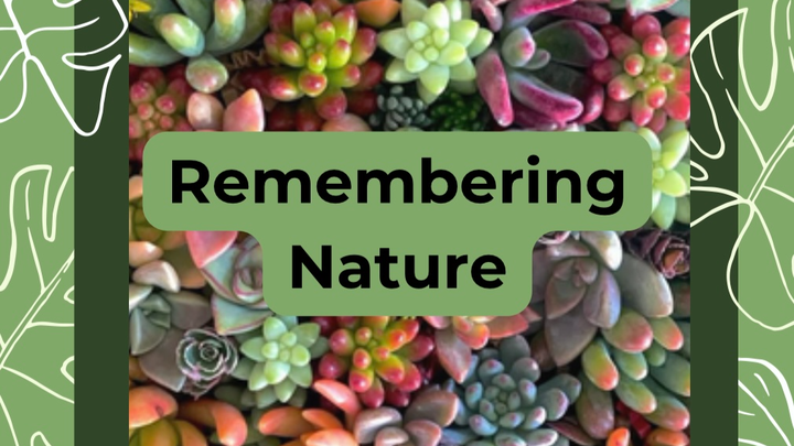 Fundraiser by Bonnell Sisters : Bringing Nature's Healing Power to the ...