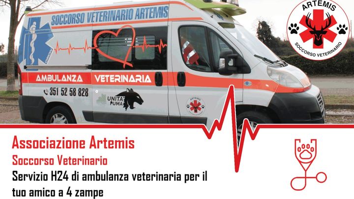 Fundraiser by Artemis ODV : Sostieni l'Ambulanza Veterinaria dell'Artemis ODV