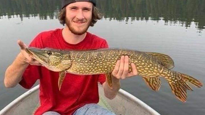 Fundraiser for Shonie Overturf by Grace Jacobson : Expenses for the ...