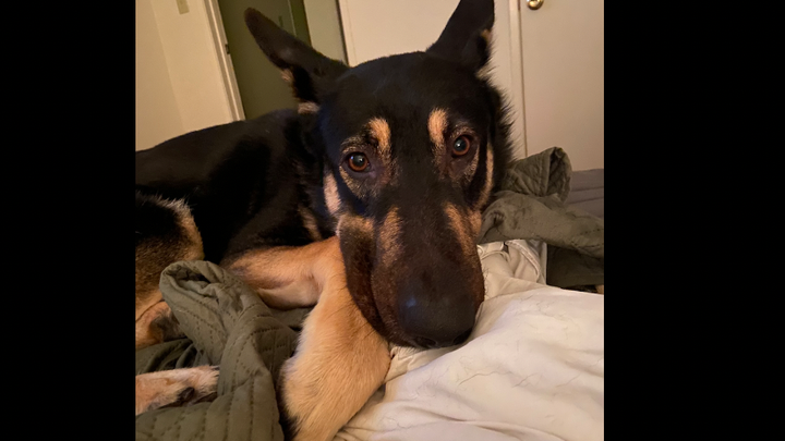 Fundraiser for Kennedy Toscano by Reagan Toscano : Macklin needs life ...