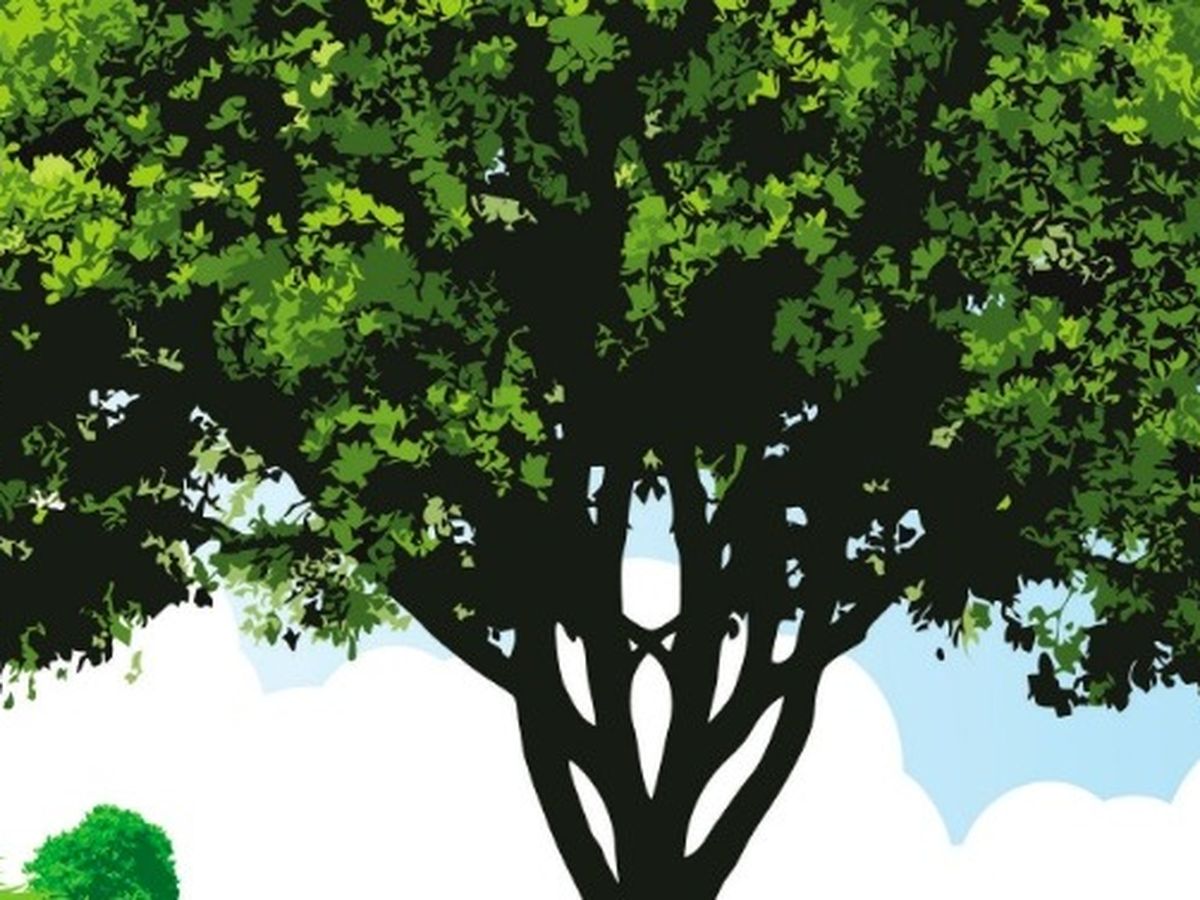 Narra Tree Clipart
