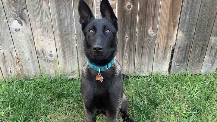 Fundraiser by Nicole Machuca : Nova’s Hospital Bill