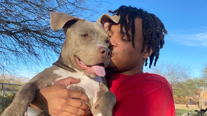 Fundraiser by Emily Morel : Help save Daisy’s life