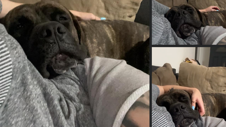 Fundraiser by Sequoia Limes : Help Keep Xander with His Family